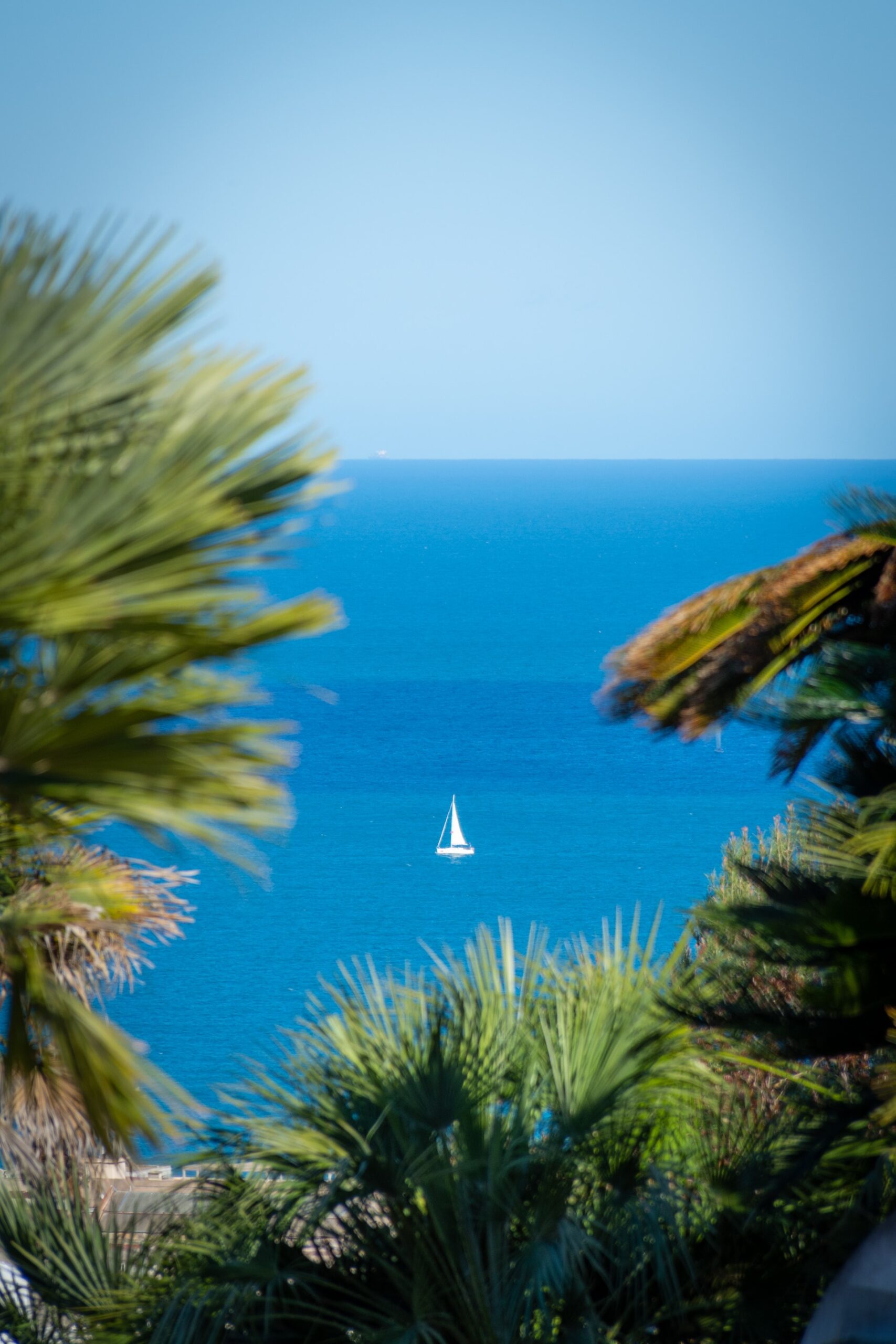 Exploring the Wonders of the Mediterranean Sea: A Journey into History ...